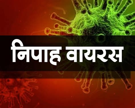 निपाह वायरस से बचा सकती हैं यह 5 घरेलू औषधियां Nipah Virus Webdunia Hindi