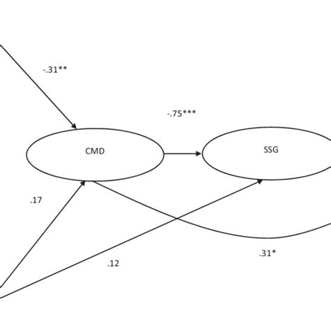 Final Structural Model Showing Standardized Parameter Estimates For