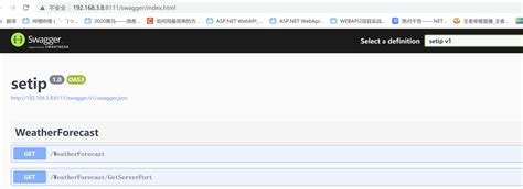 设置固定ip的netcore Webapi 程序不发布、不编译直接生成docker镜像指定固定ip是错误的做法） 无声袖箭 博客园