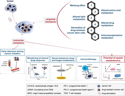 Frontiers When Cancer Drug Resistance Meets Metabolomics Bulk
