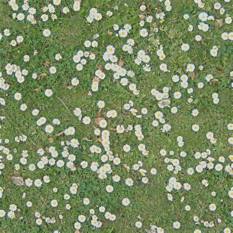 Модели Катеров Для 3Д Макса Casamediaget