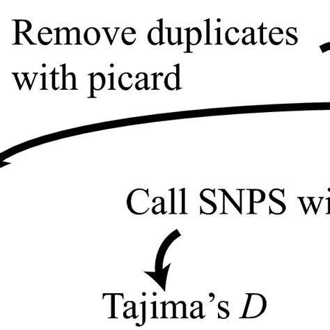 An Outline Of The Pipeline Used For Estimating Copy Number Of
