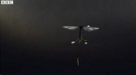 Robobee The Flying Robot Insect Ubergizmo