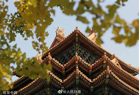 金秋美景故宫西华门银杏太好看了 秋景图 金色 琉璃瓦