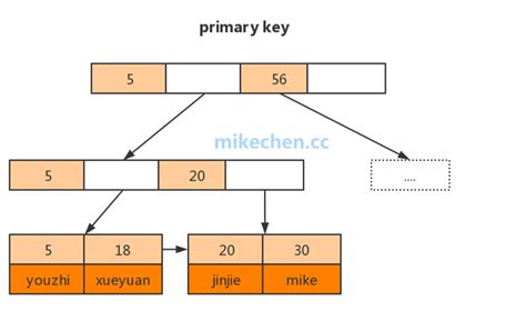 Mysql索引原理详解 看这篇就够了 Mikechen