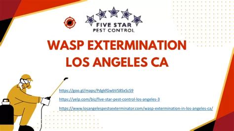 Ppt Wasp Extermination Los Angeles Ca Powerpoint Presentation Free