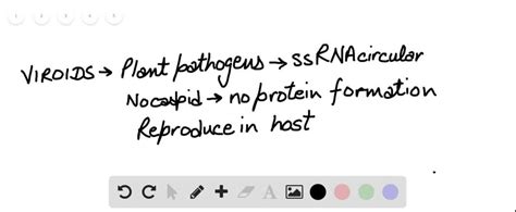 SOLVED Which Of The Following Statements About Viroids Is True A