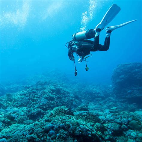 Scuba Diving Course In Selangor Swimiss Academy