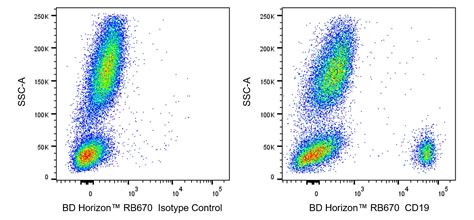 Rb670 Mouse Anti Human Cd19