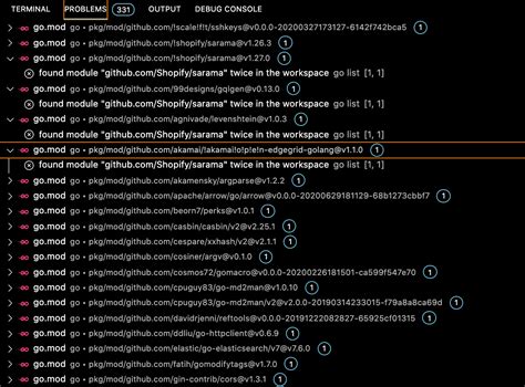 x tools gopls duplicate module in workspace with