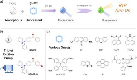 A Schematic Diagram Of The Photo‐activated Room Temperature Download Scientific Diagram