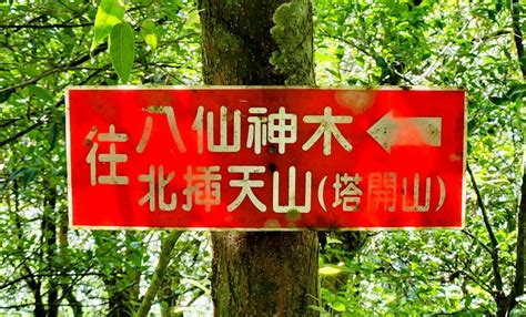中級山插天山的奇幻世界赫威山赫威神木群步道 健行筆記