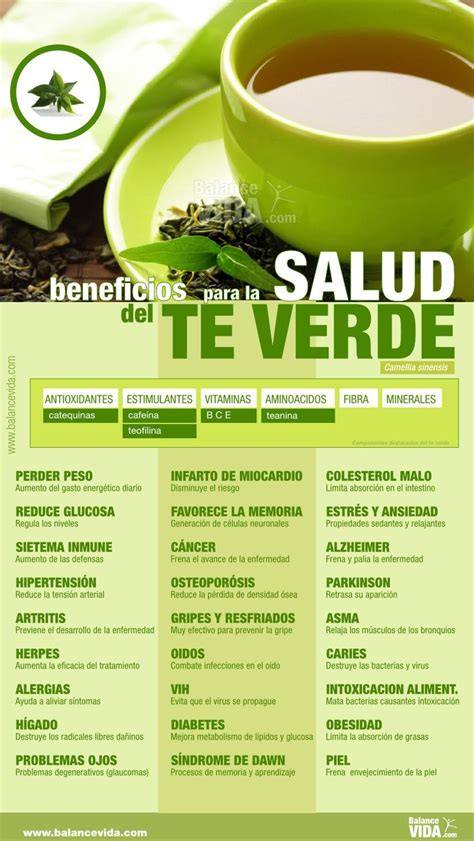 El té verde y sus propiedades beneficiosas para la salud Infografías
