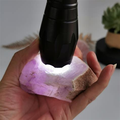 能量倉庫 出清特價 編號1586約重232g 紫水晶 紫骨幹 紫水晶柱 紫虎牙 消磁淨化 原石 原礦 蝦皮購物