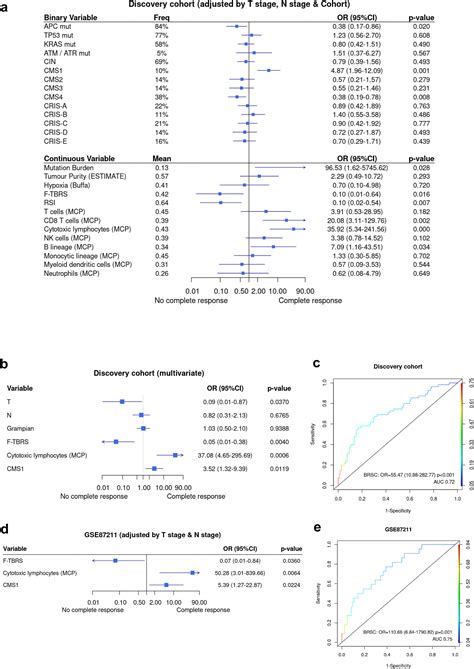 Identification And Validation Of A Machine Learning Model Of Complete