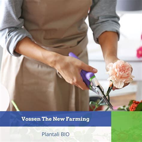 Plantali Bio Flowers Vossen The New Farming