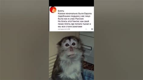 Казахи изначально былы Европа падобными - YouTube