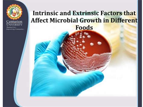 Pdf Intrinsic And Extrinsic Factors That Affect Microbial Dokumentips