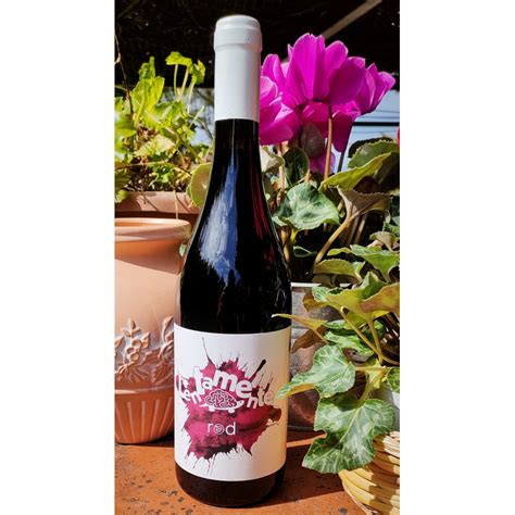 Vino "Rəd"
