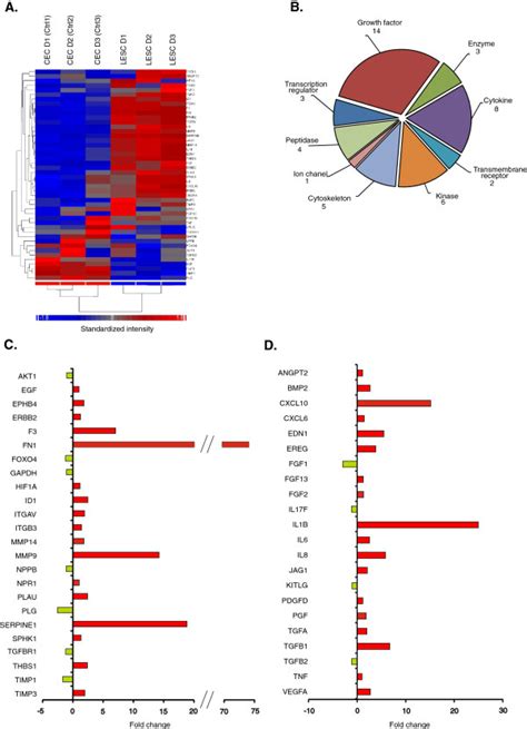 Significantly Expressed Angiogenesis Related Genes In Lescs