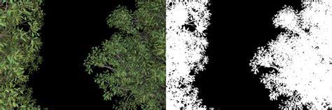 배경에 격리 된 트리입니다 3d 렌더링 일러스트레이션 0명에 대한 스톡 사진 및 기타 이미지 0명 3차원 형태 가을