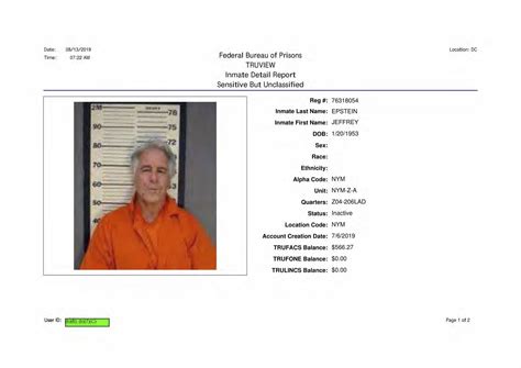 Jeffrey Epstein Listed More Than 10 Sex Partners Had Std