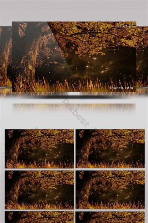 舞台树背景 舞台树背景图片 【包图网】