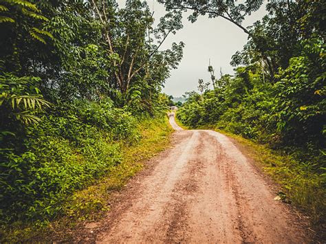 3200点を超えるリベリア 写真のストックフォト、写真、そしてロイヤリティフリーの画像 Istock