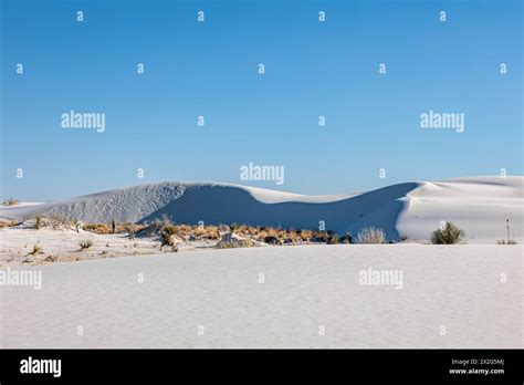 Gypsum Dunefields At White Sands National Monument Located Within The