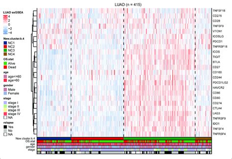 Immune Checkpoint Relevant Molecules In Four Subtypes The Heatmap
