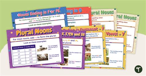 Plural Rules Poster Pack Teach Starter