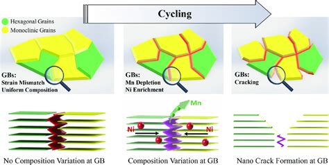 Schematic Illustration Of The Proposed Grain Boundary Induced Download Scientific Diagram