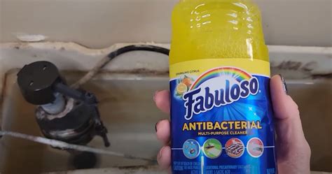 Can You Mix Vinegar And Fabuloso Explained Canyoumix