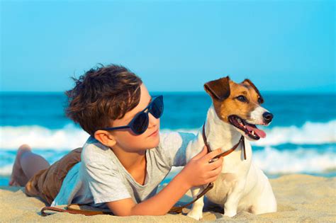 일몰에 가까운 푸른 하늘에 대 한 해변에서 그의 개 품종 잭 러셀을 포옹 하는 행복 한 9 살짜리 소년 가장 친한 친구 휴식과 휴가에 재미를 바다에 대 한 모래에서 재생