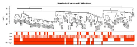 clustering dendrogram of 95 ebv genomes based on their euclidean