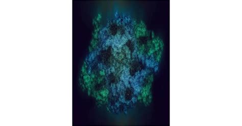 metabolomics as a leading technology in biomarker discovery free on
