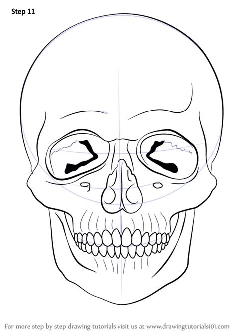 How To Draw A Skull Skulls Step By Step DrawingTutorials101