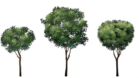 树by Muyou六六 优动漫 动漫创作支援平台