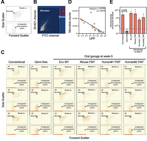 Quantitative Flow Cytometry Analysis Of Fecal Microbial Dynamics A