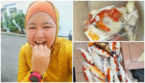Can You Cook Koi Fish Metro Cooking Dallas