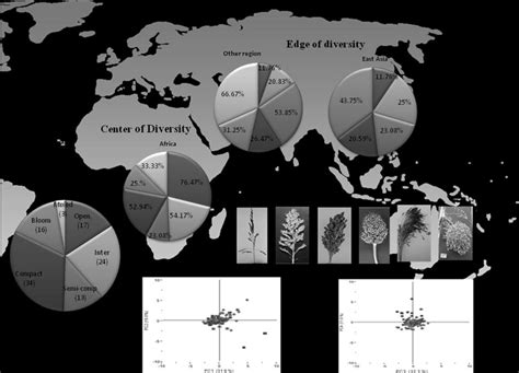 distribution of different sorghum panicle types of the 107 sorghum core