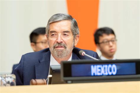 Juan Ramón De La Fuente Presidirá La Segunda Reunión Del Tratado Sobre