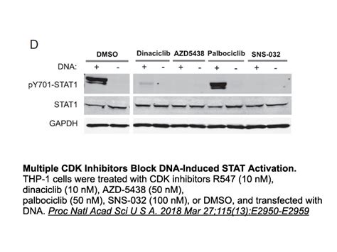 美国apexbio中文官网 Pd 0332991 Palbociclib Cdk46抑制剂
