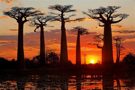 Toliara Province Madagascar Paysages