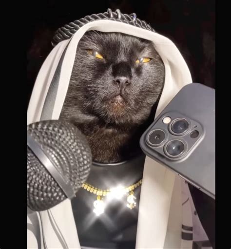 Создать мем котики смешные забавные животные котэ Картинки Meme
