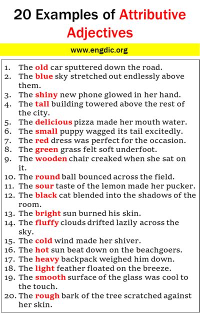20 Examples Of Attributive Adjectives In Sentences Engdic