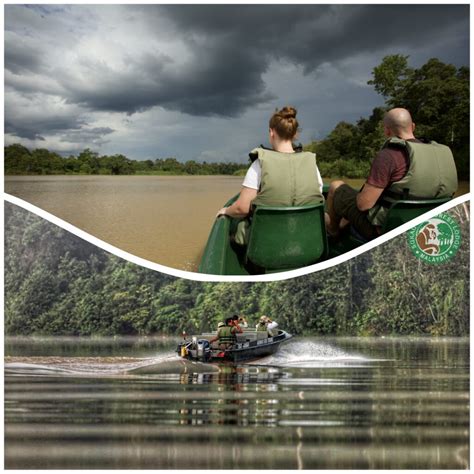 How To Find The Best Tour Package In Borneo Borneo Eco Tours