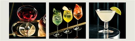 Cocktail Codex Fundamentals Formulas Evolutions A Cocktail Recipe Book Kaplan David Day