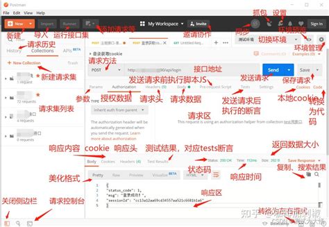 如何使用postman做接口测试 知乎