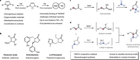 Examples Of γ Butyrolactones And Their Synthesis By Nhc Download Scientific Diagram